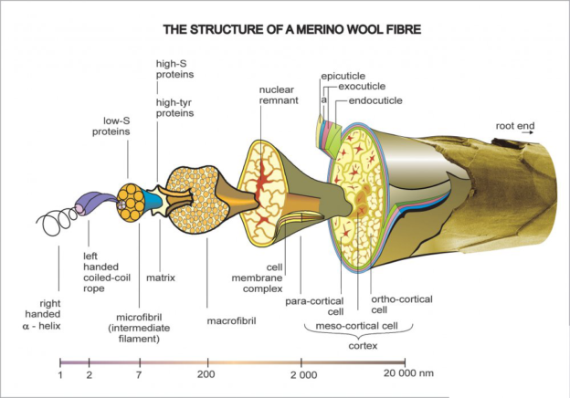 Merino Wool Benefits
